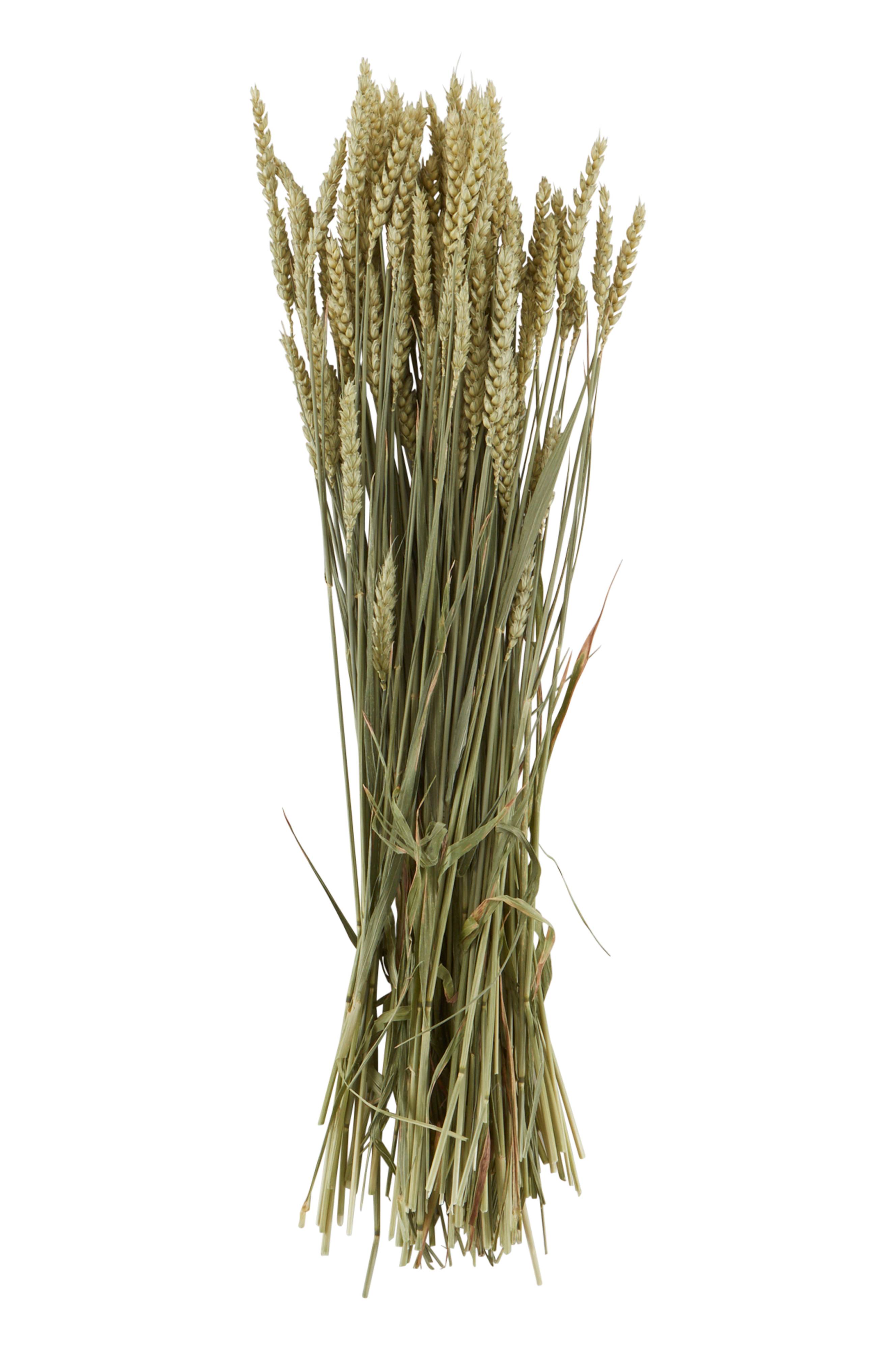 House of Flowers Vete - Natur - Växter & blommor | Ellos.se